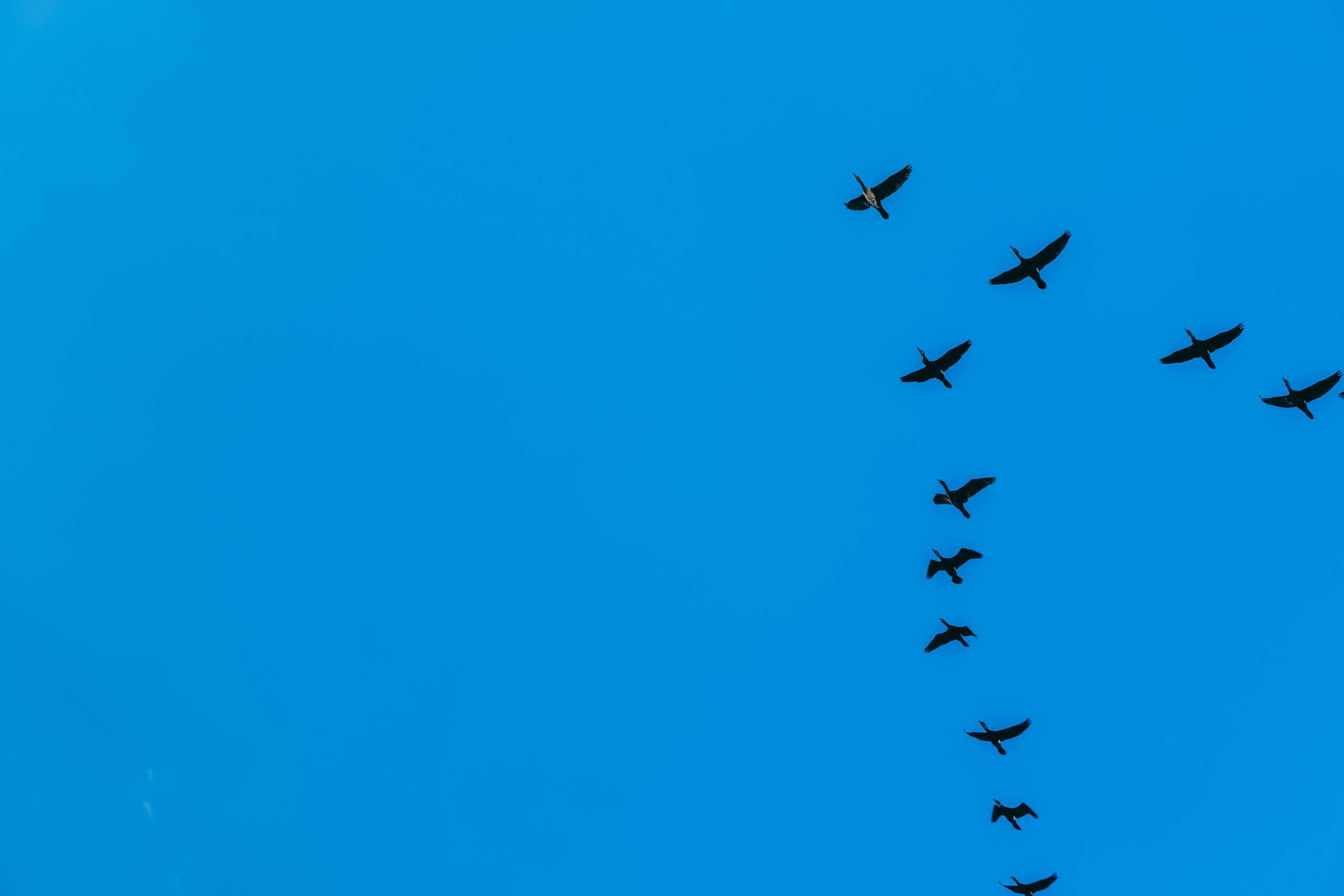 Our Partners - TARGET HOSPITALITY